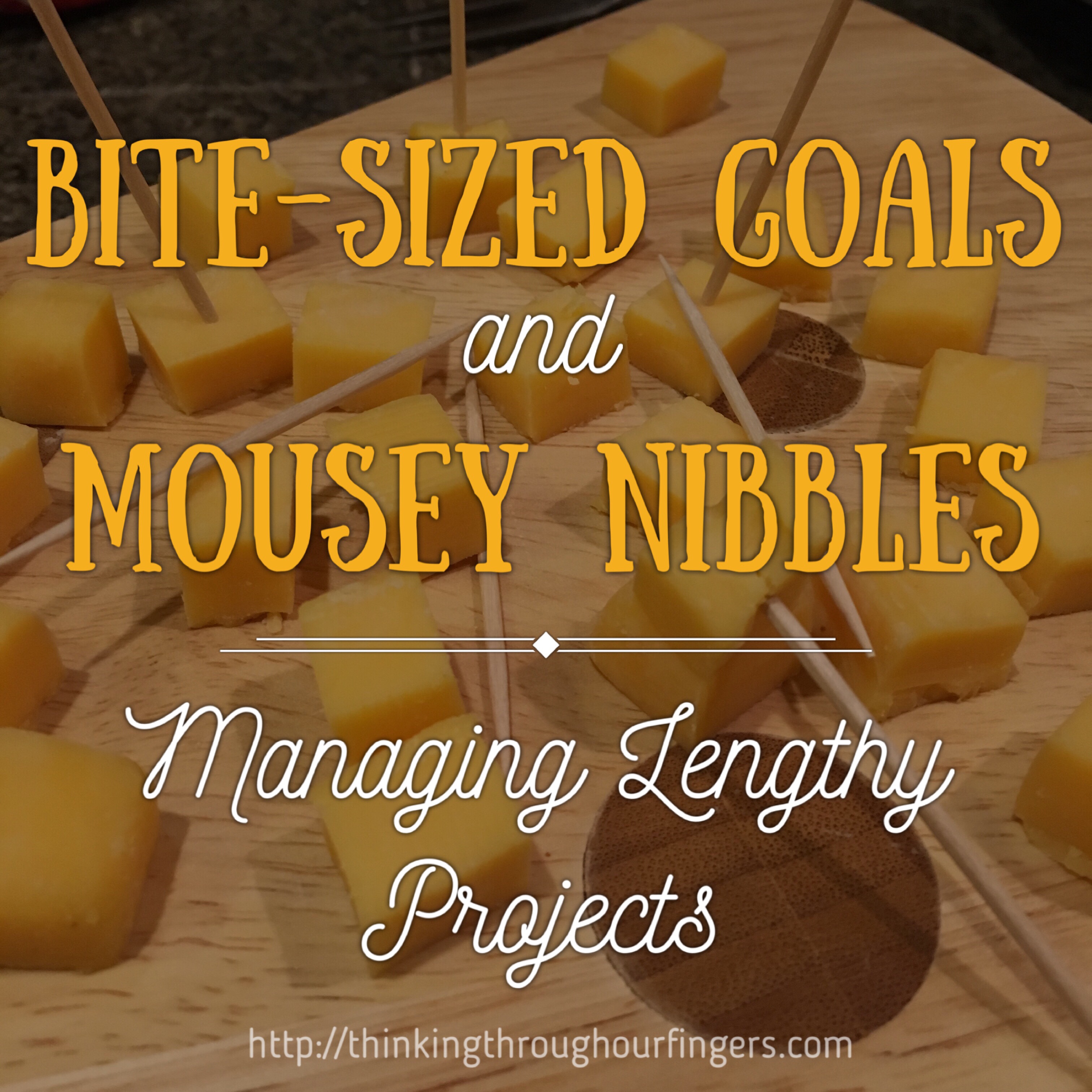 goals | Thinking Through Our Fingers